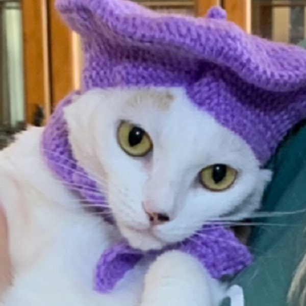 French Beret Hat and Scarf, Beret Hat for Cat, Cat Scarf, Purple Kitten ...