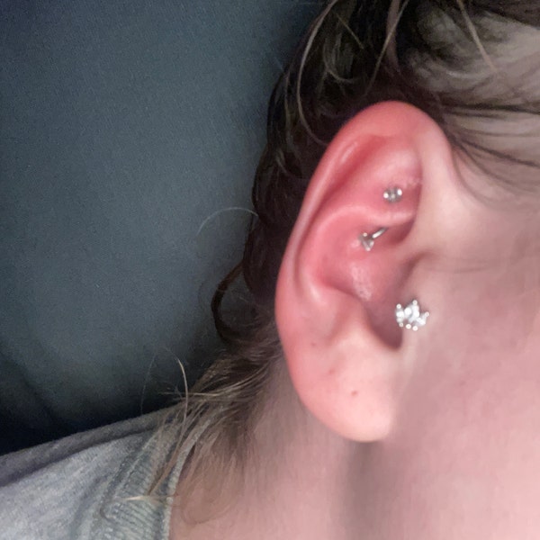 Titanium Implant Grade Rook Piercing Double Jeweled..internally ...