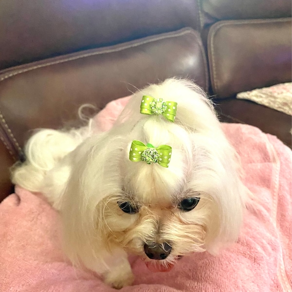 Petite Dog Bows,small Dog Hair Bows,pigtail Bows for Dogs,bows for ...