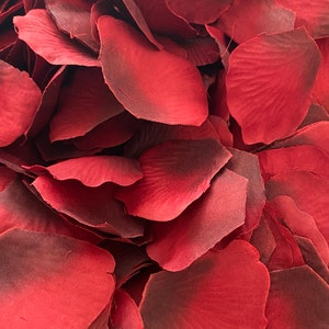 Red Silk Rose Petals, 300 Petals - Etsy
