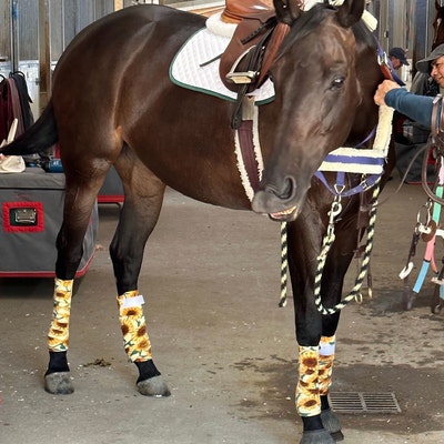 Cheetah Polo Wraps Horse Polo Wraps Black Polo Wraps Set of - Etsy