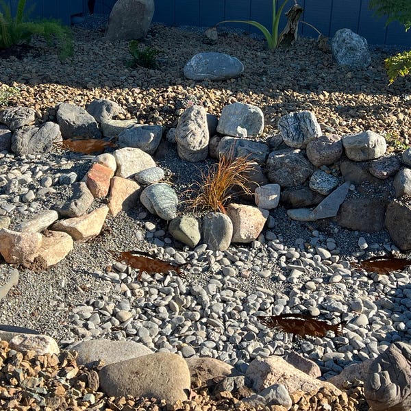 Salmon Rock Bed Decor Set of 4, Metal Salmon Metal Art, River Rock ...