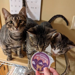 Yin Yang Koi Fish CLEAR Vinyl Sticker ATLA Waterproof - Etsy