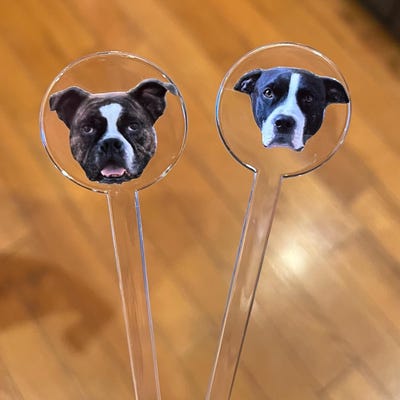 TEXAS SMILEY Die Cut Waterproof Sticker Howdy & Rowdy Stickers Texas ...