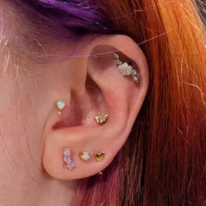 16G Tiny Shell Flower Stud Earring Helix Conch Cartilage Ear - Etsy