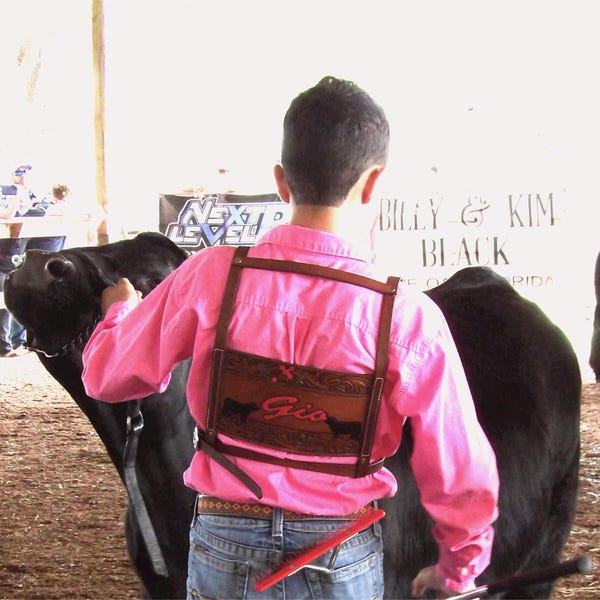 Handmade Custom Livestock Exhibitor Show Harness - Etsy