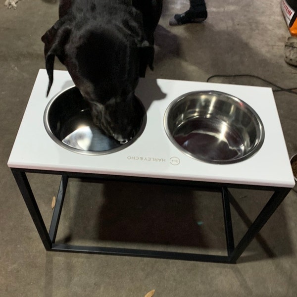 Elevated Dog Feeding Table for Large Size Dog / Raised Feeder for Big ...