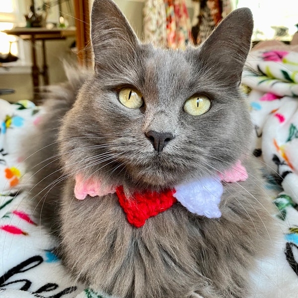 Heart Headband for Cats, Valentine's Day Cat Accessories, Cat Photo ...