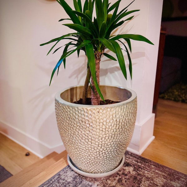Contemporary Large Ceramic Planter - Indoor & Outdoor Pots | Speckled ...