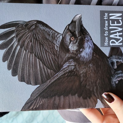 How to Draw Ravens: Anatomy and Wings - Etsy UK
