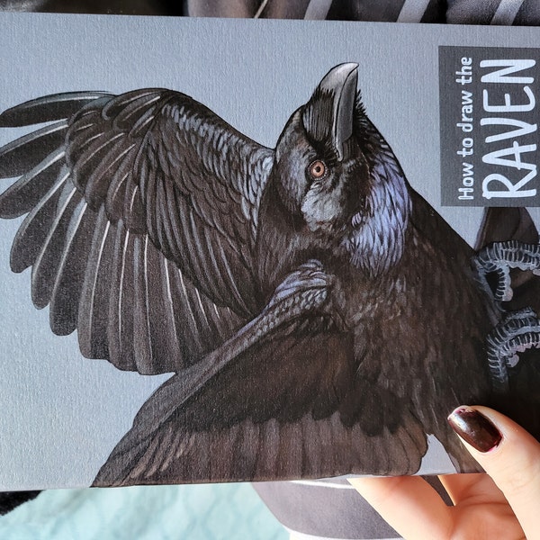 How to Draw Ravens: Anatomy and Wings - Etsy