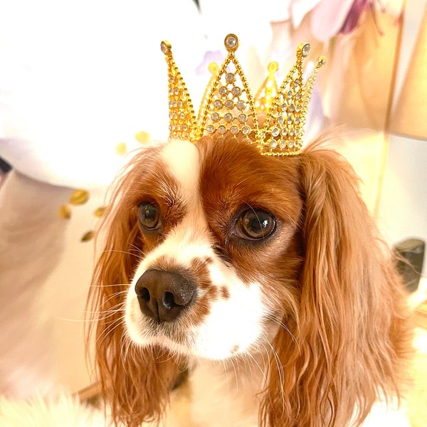 Princess Dog Crown, Elegant Pet Costume - Etsy