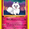 Your Pet as a Pokemon Card - Etsy