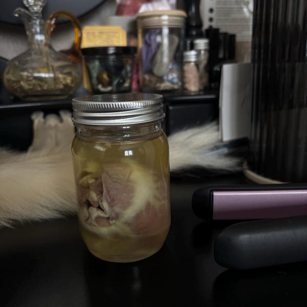 Small Oddities Mystery Box - Etsy