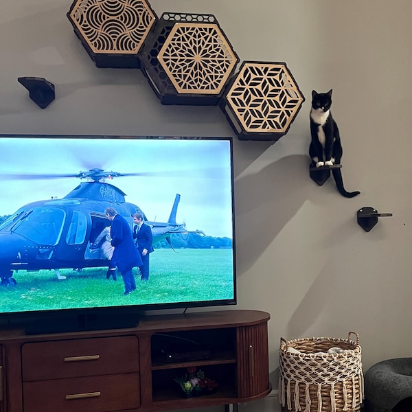 Hexagon Honeycomb Cat Shelves - Stylish Wall-mounted Furniture for Your ...