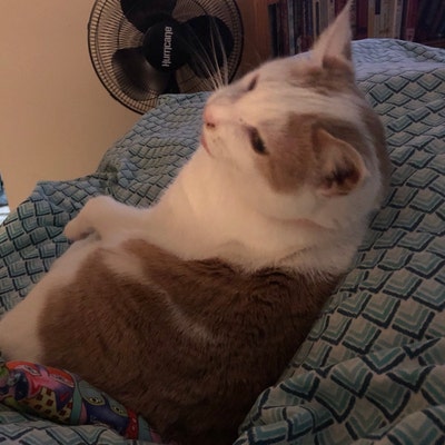 Thread Rack PDF Pattern & Plans to BUILD Your OWN Free Standing 6 Feet ...