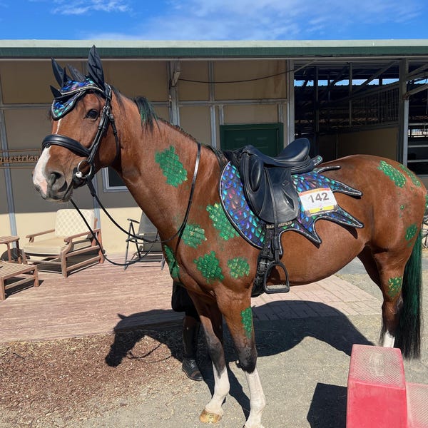 Fruits Theme Saddle Pad Sets; Stylish Strawberry Equestrian English ...