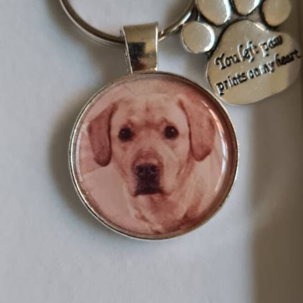Dog Personalised Photo Keyring, You Left Paw Prints on My Heart, Loss ...