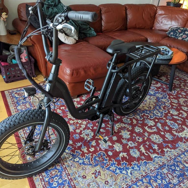 Decal Set for Rad City Step Thru Matte Black bike NOT Included - Etsy
