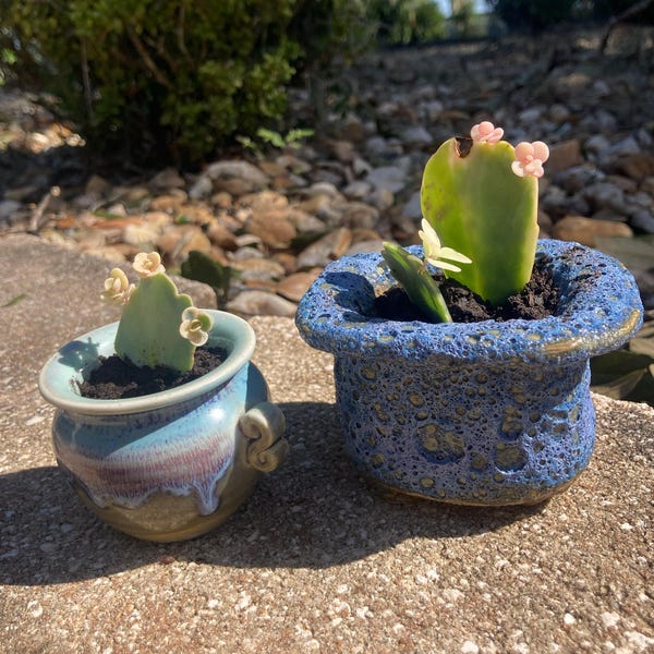 Extra Thick Hand Pinched Planter, Mini Succulent Flower Pot, Ceramic ...