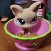 LPS Great Dane 589 / Authentic Littlest Pet Shop - Etsy