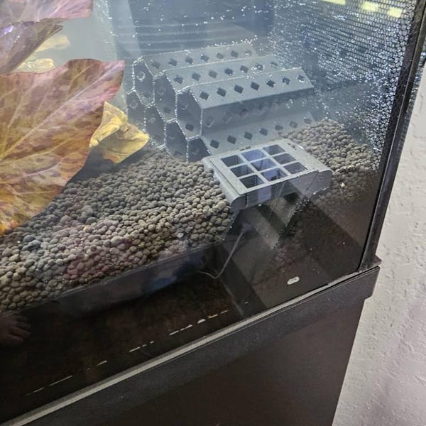 Finnex Stingray Original LED Light Riser, Attractive Stable Elevated ...