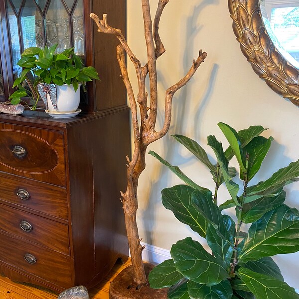 Free Standing Wooden Rustic Olive Tree Table Lamp - Etsy