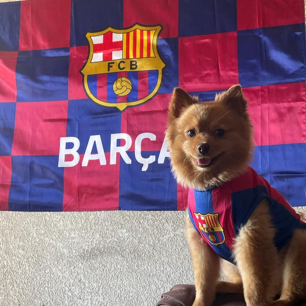 Barcelona Personalised Pet Tank Top FC 25/26 With Original FC Logo (dog ...