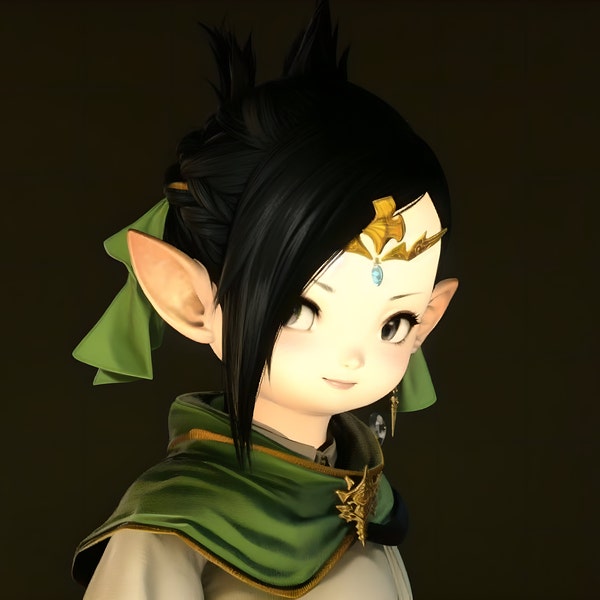 Final Fantasy XIV Static Portrait Commission - Etsy