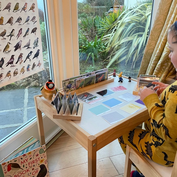 The Water Cycle Charts & Definition Cards - Science - Printable ...