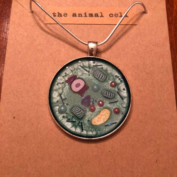 Animal Cell Pendant Necklace - Silver - Art Necklace, Biology Jewellery ...