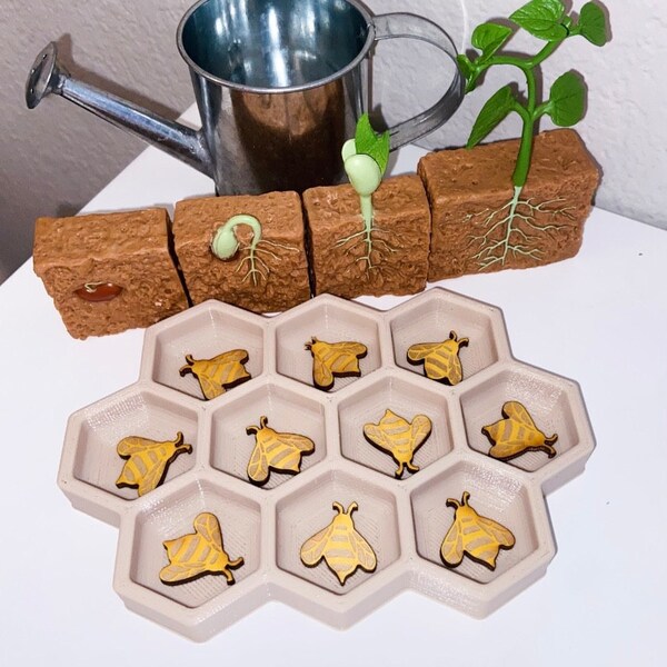 Animal Homes Preschool Activity Pages - Etsy