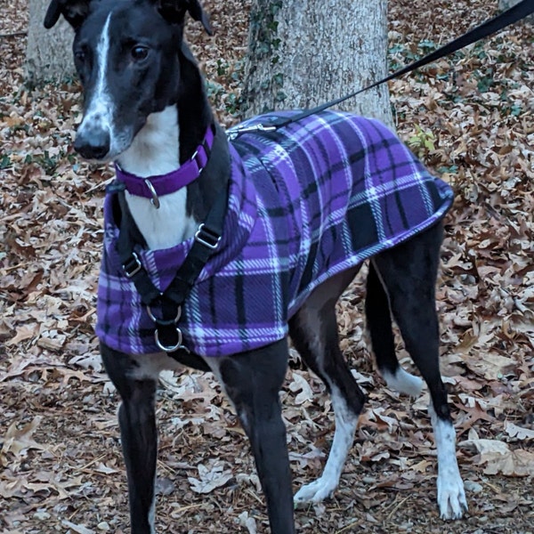Short Collar Greyhound Coat in Fleece, Size Large or Mediumgreyhound ...