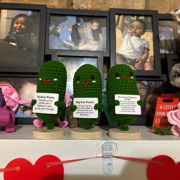 Emotional Support Pickle,positive Pickle,big Fan Pickle,handmade ...