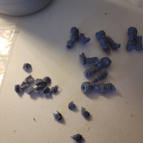 5 Nocturnal Bodies No.1 (set of 5) | OFFICIAL PREMIUM 8K RESOLUTION ...