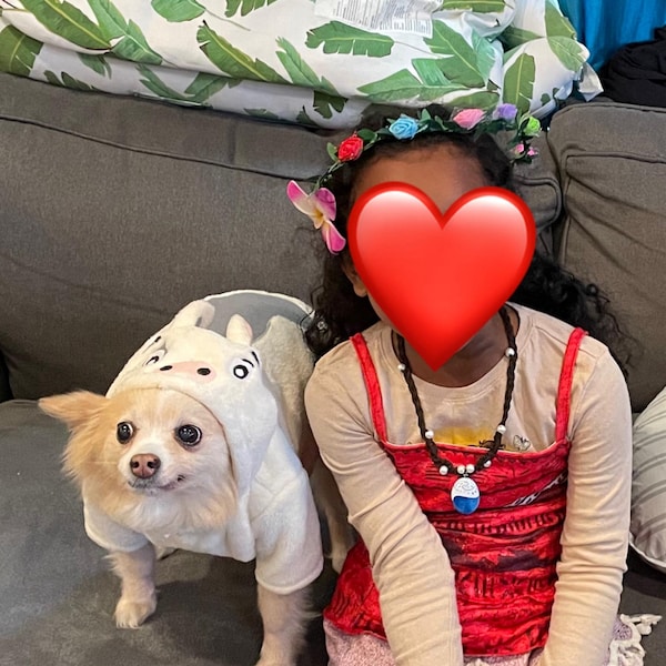 Dog Pig Costume, Pua From Moana Costume for Pets, Pig Costume for Dogs ...