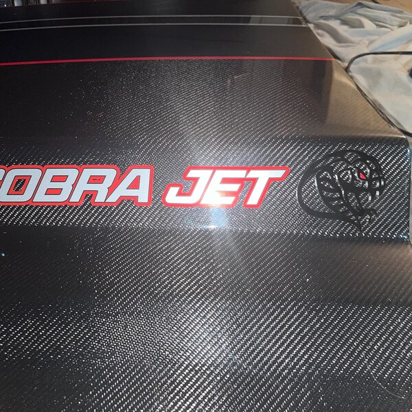 2x Demoncat Ghoul Redeye Logo Emblem Badge for Challenger Charger ...