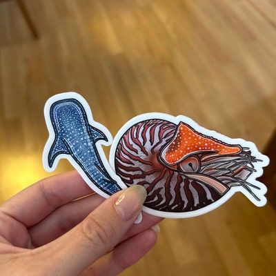 Amoray Eel Sticker - Etsy