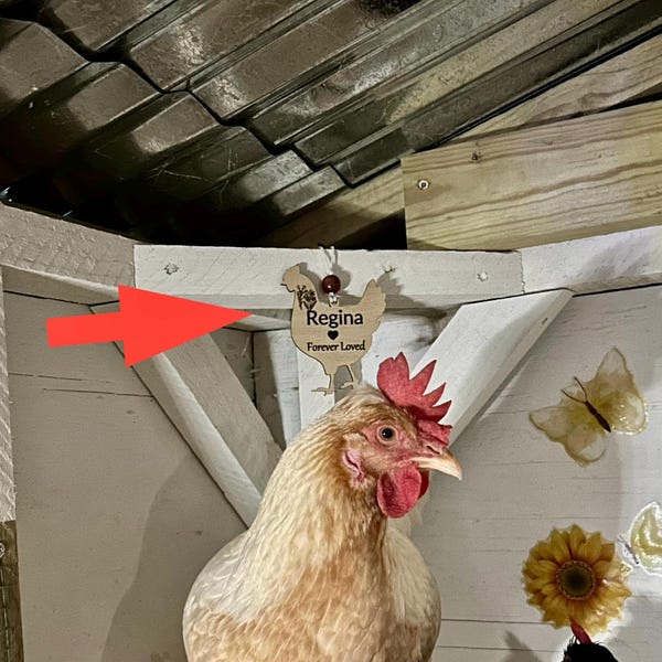 Chicken Coop Sign, Chicken Welcome Sign, Round Welcome Sign, Funny ...