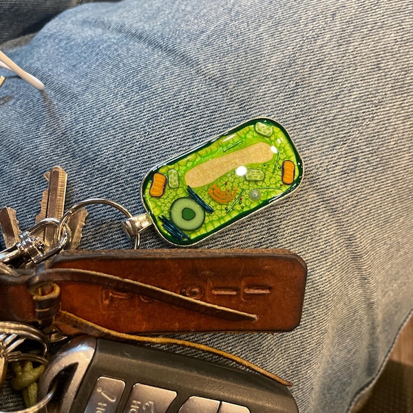 Plant Cell Key Chain - Key Ring - Cell Biology, Biology Gift, Key Chain ...