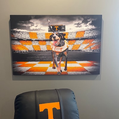 Iowa Hawkeyes Black & Gold Panoramic Kinnick Stadium Iowa Stripe Out ...