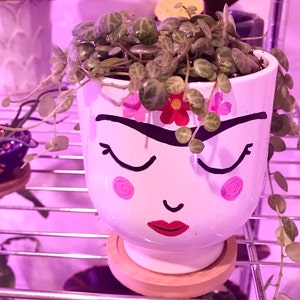 Face Pot | Hand Painted | ART Pot - Etsy