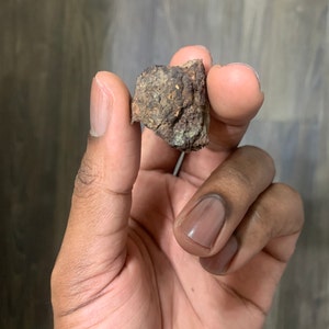 Gourd Shaker With Cowrie Shells/shekere - Etsy