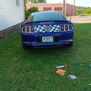 RAM TRX Bedside Decals TRX Eating Raptor Easter Egg Logo set of 2 - Etsy