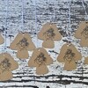 Letter B Die Cuts, 25 Pieces, Letter B Cut Outs, Letter Die Cuts ...