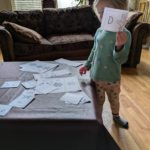 Arctic Animals I Spy Part-to-whole Matching Cards, Montessori Preschool ...