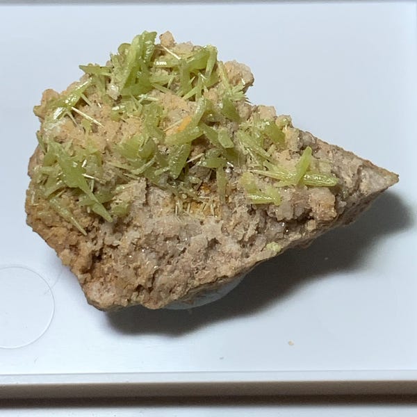 Rock Collection Gift Set | Assortment of Natural Fossils, Crystals ...