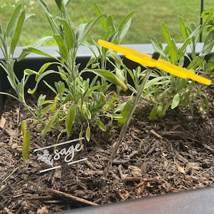 Personalized Acrylic Garden Sign Flower Pot Message Sticks | Etsy