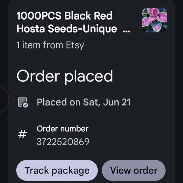 1000PCS Black Red Hosta Seeds-unique Easy-to- Grow Perennial- Low ...