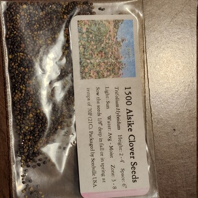 1500 ALSIKE CLOVER Trifolium Hybridum Pink & White Flower Legume Seeds ...